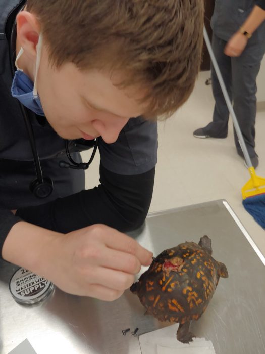 Shell Repair – Kevin Eastman Studios