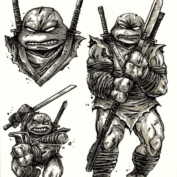 New Original Artworks Added to the Website – Kevin Eastman Studios